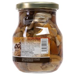 Misto funghi con porcini